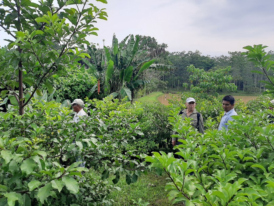 A living laboratory. The encounter between dedication and science ...